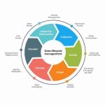 7 Phases Of Data Life Cycle Every Business Must Be Informed