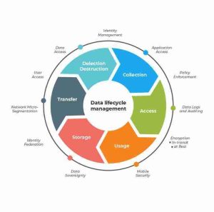 7 Phases Of Data Life Cycle Every Business Must Be Informed
