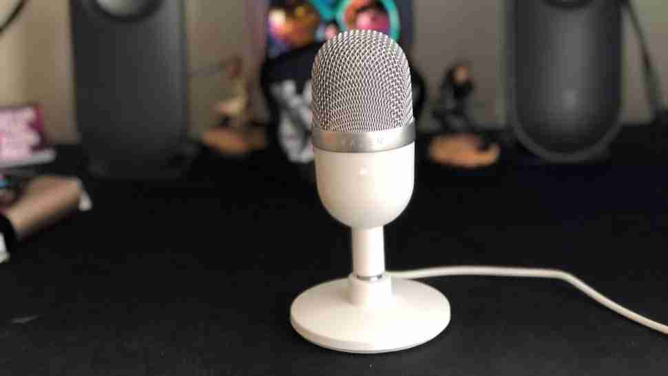 Razer Seiren Mini Microphone Review - Privacy Ninja