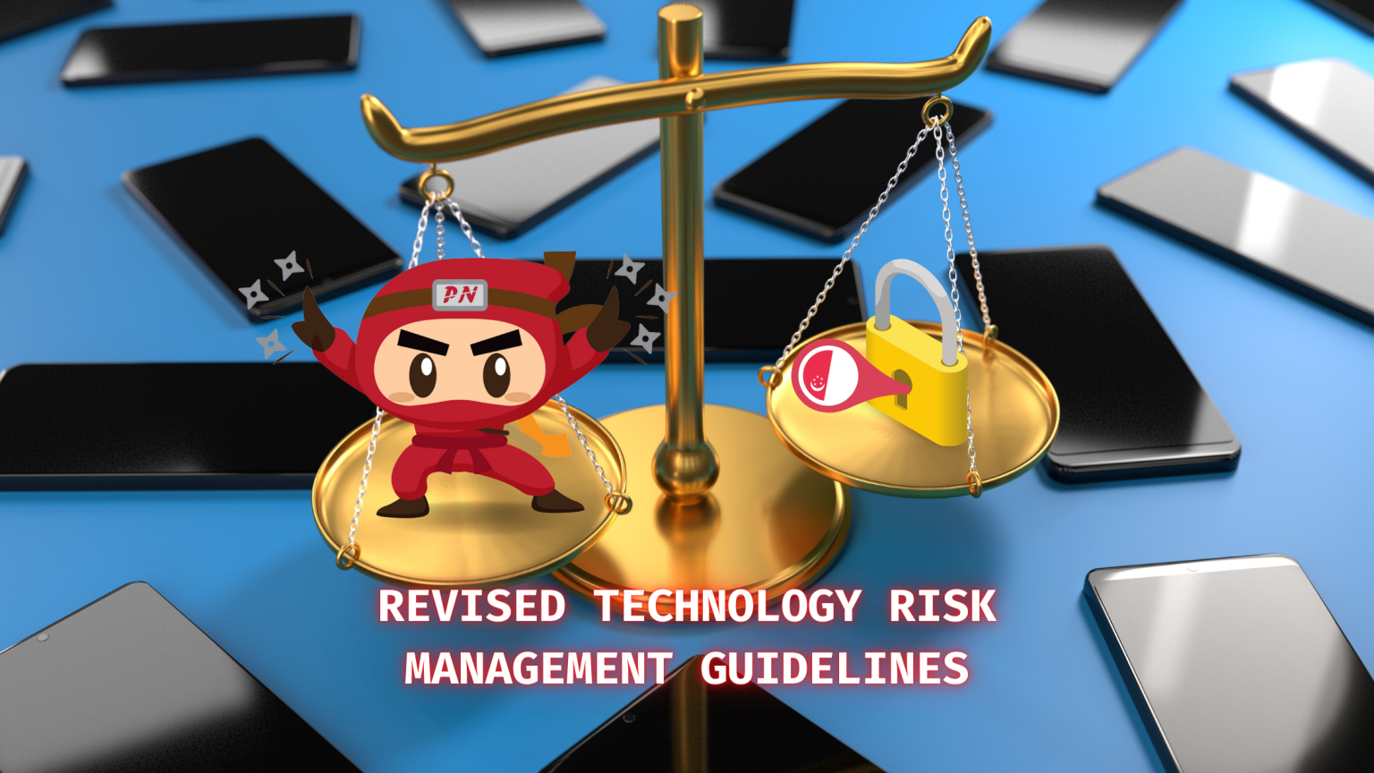 Revised Technology Risk Management Guidelines of Singapore - Privacy Ninja