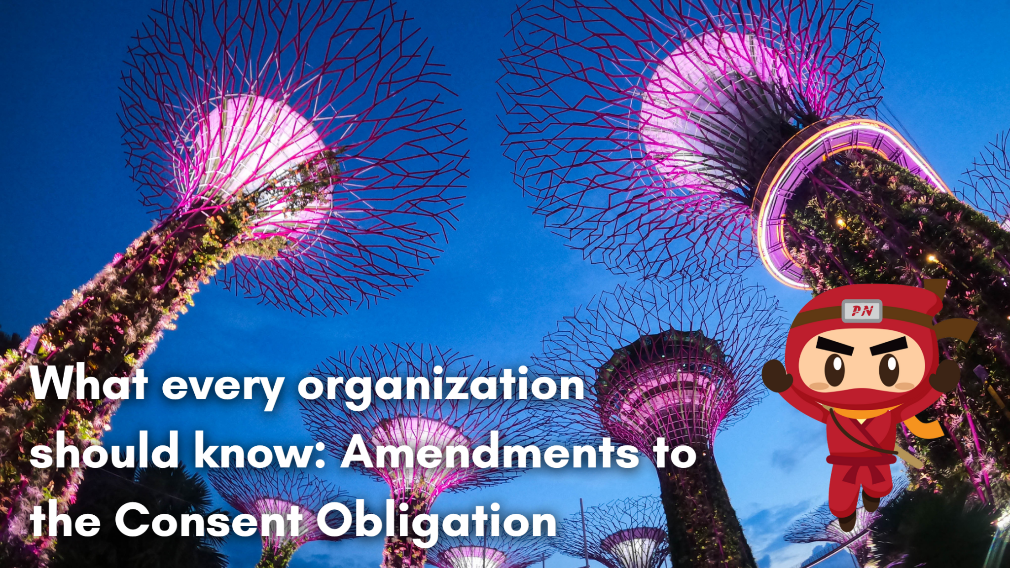 What every organization should know: Amendments to the Consent ...