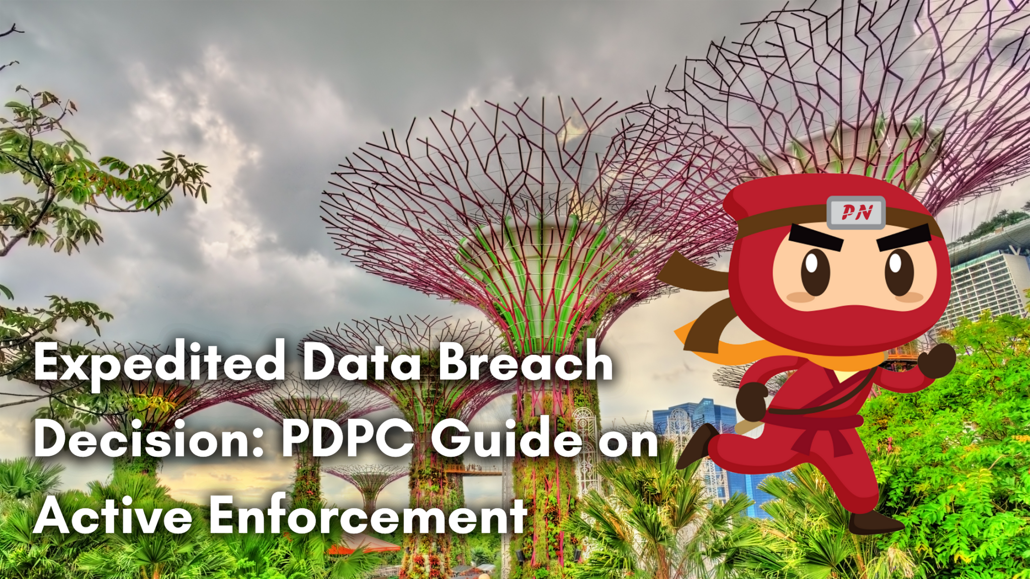 Expedited Data Breach Decision: PDPC Guide on Active Enforcement ...