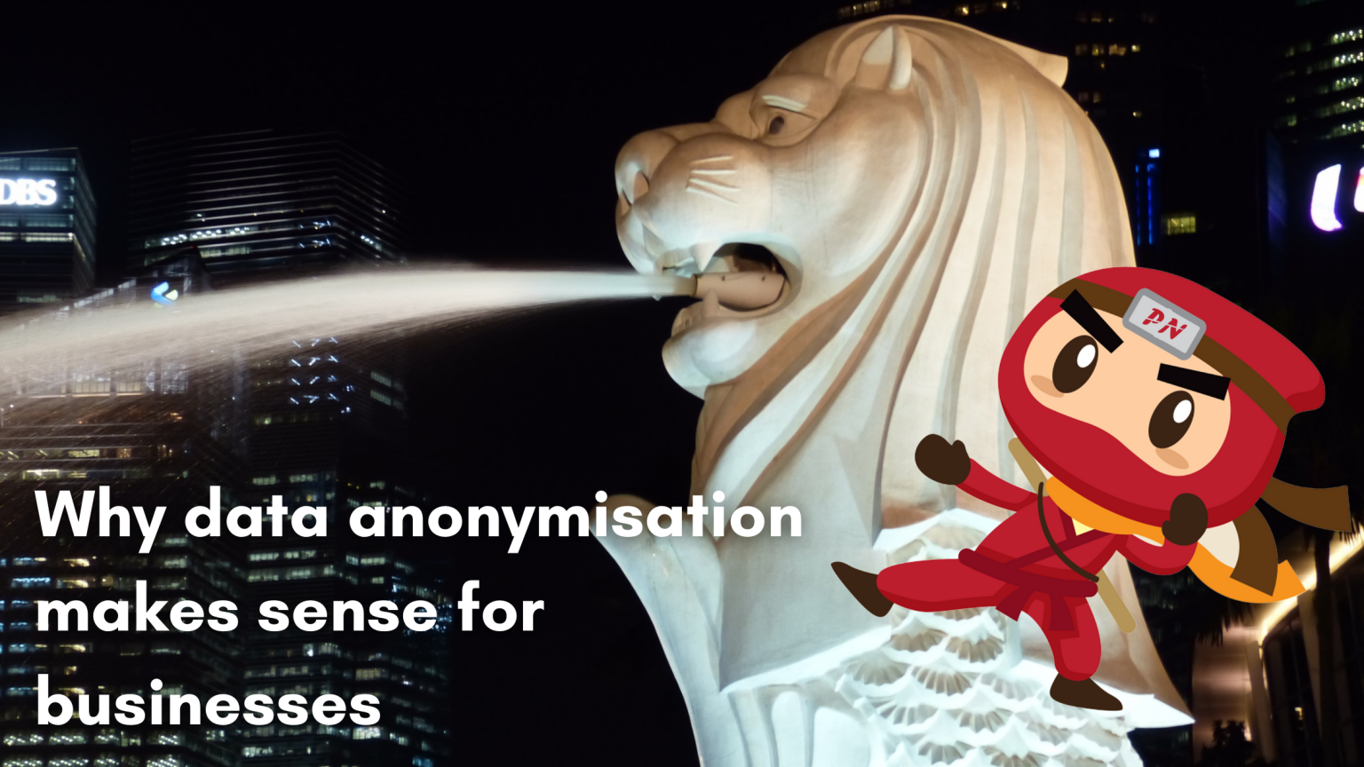 Why data anonymisation makes sense for businesses - Privacy Ninja