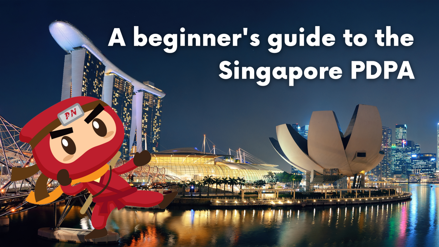 A beginner's guide to the Singapore PDPA - Privacy Ninja