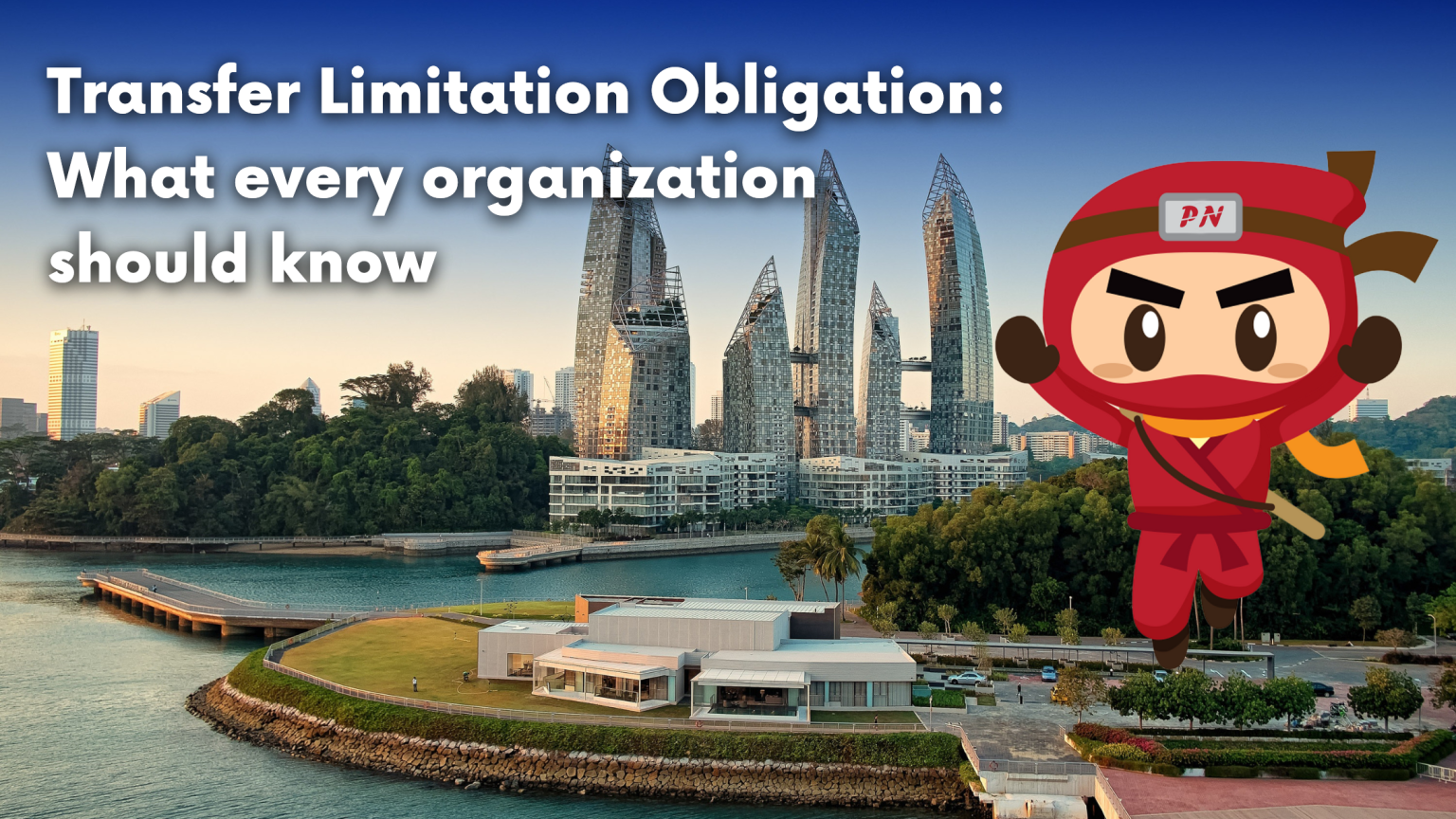 Transfer Limitation Obligation: What every organization should know ...