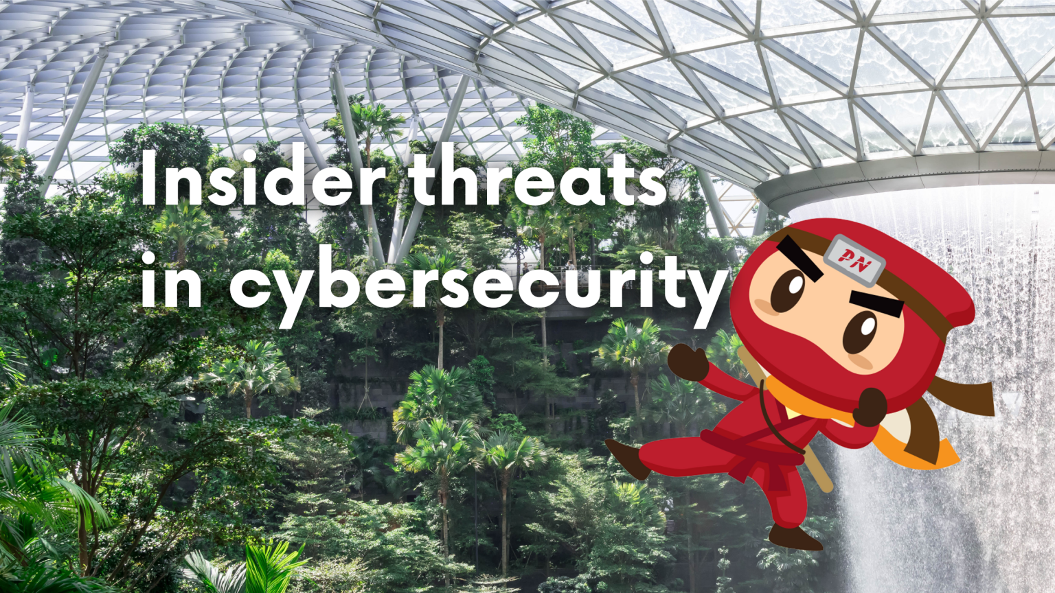 Insider threats in cybersecurity: When employees sabotage - Privacy Ninja