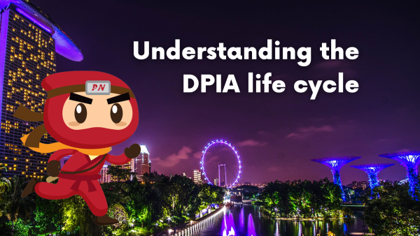 DPIA example: Understanding the 6 phases of its life cycle - Privacy Ninja