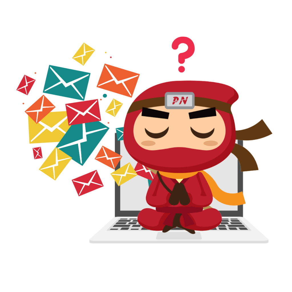 Email Spoofing Prevention - Privacy Ninja